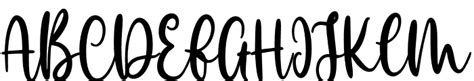 Clayaris Ligatures Font Script Decorative What Font Is