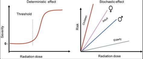 Radiology Safety Errors Flashcards Quizlet