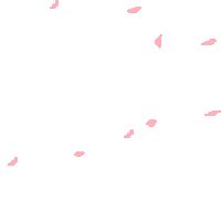 Sakura Leaves Sticker Sakura Leaves Discover And Share S