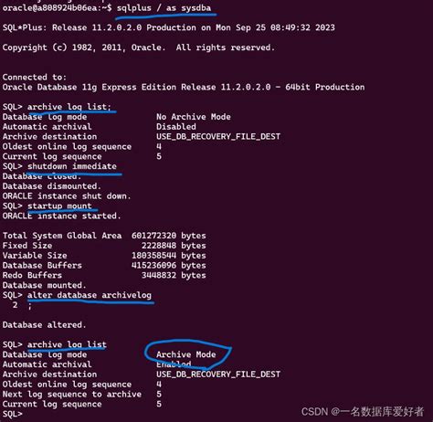 oracle 开启归档 csdn博客