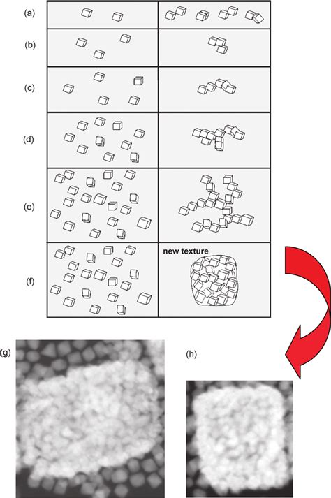 A F Possible Illustrations Of Attachment Aggregation Or