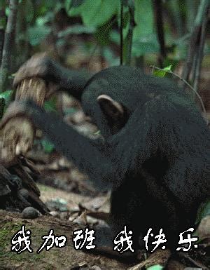 制作表情包Python拆分和合并GIF动态图几行代码就搞定 知乎