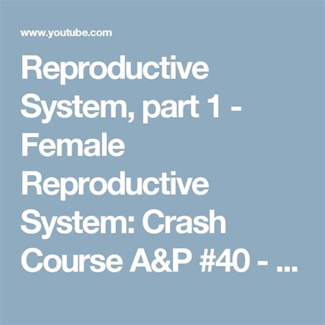Reproductive System Part 1 Female Reproductive System Crash Course