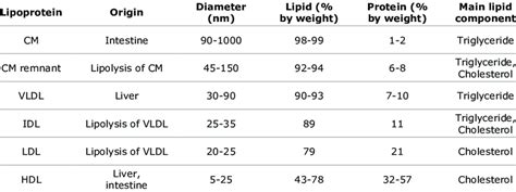 The Composition Of Main Lipoprotein Subclasses In Humans Modified From Download Scientific
