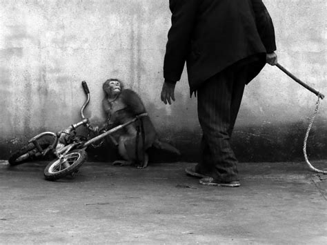 Gallery Intimate Portrait Of Russian Gay Couple Wins World Press Photo