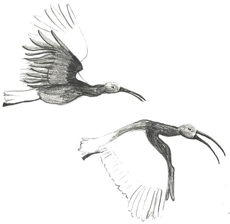 Contacto Caroline Clément Architecte Dintérieurs à Madrid