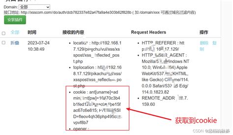 Xss漏洞 （跨站脚本攻击）xss注入获取cookie的网站 Csdn博客