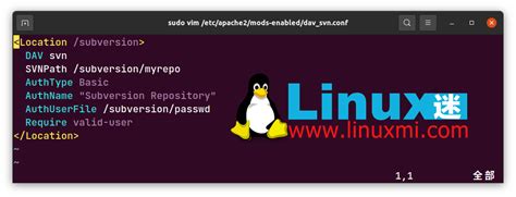 在 linux 服务器上使用 subversion 版本控制系统 linux迷