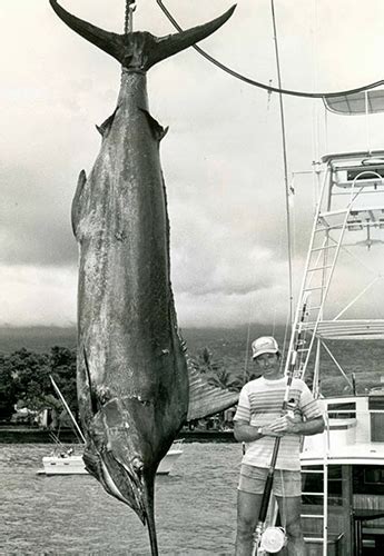 Largest Marlin Ever Caught