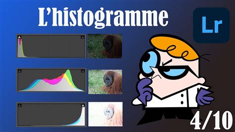 10 astuces pour améliorer vos photos avec lightroom l histogramme