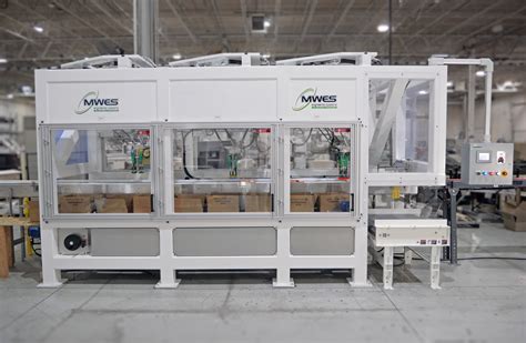 Standard Case Packing Machine Mwes