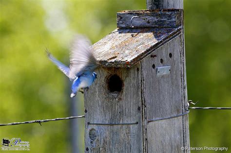 Focus Test Chart Free Download Lethbridge Photo Lab