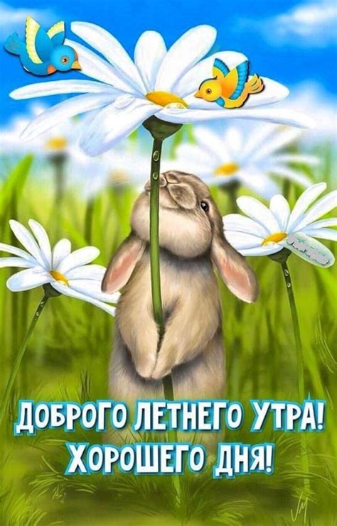Новые картинки Доброго летнего утра с пожеланиями 2023