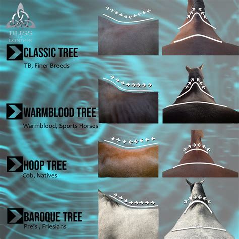 Saddle Tree Width Sizes