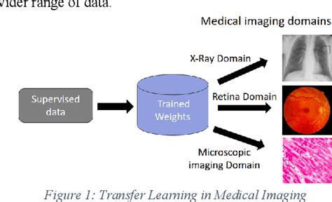 Figure 5 From Resnet Transfer Learning For Enhanced Medical Image