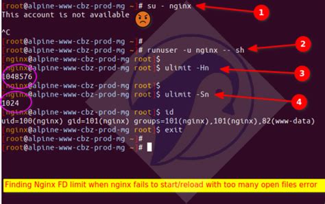 Nginx 24 Too Many Open Files Error And Solution Nixcraft