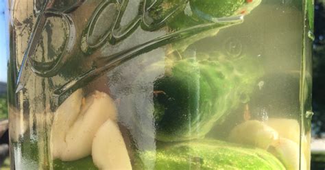 Wild Fermented Dill Pickles Greener Postures