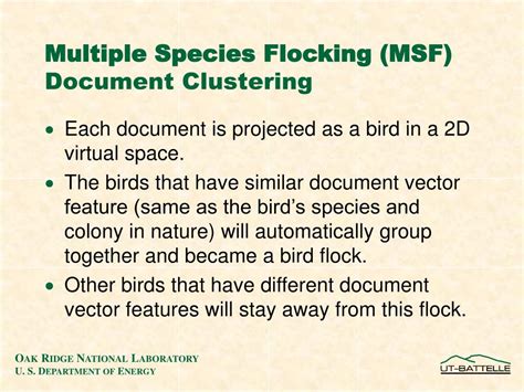 Ppt A Distributed Agent Implementation Of Multiple Species Flocking