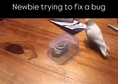 tom allen on linkedin debugging coding programminghumor technology