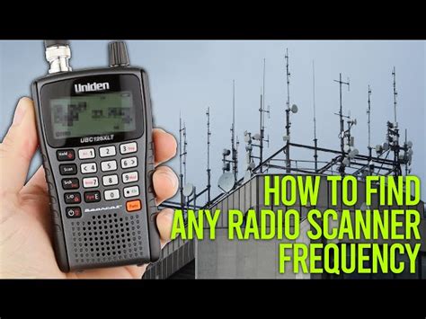 File Head Olfactory Nerve Labeled Cribriform Plate OFF