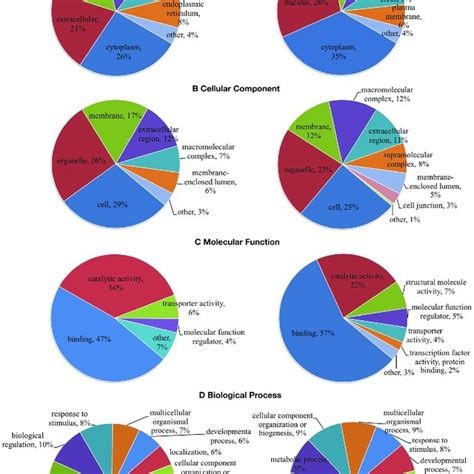 Sub Cellular Functional Annotations And Go Analysis Of Identified
