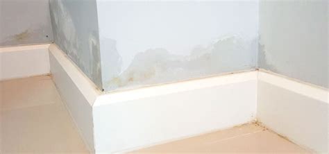 Damp Proofing Services Trusted Specialists In London Kent