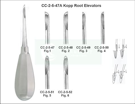 Kopp Root Elevators Set Of 6