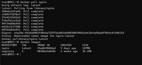 Installasi Dan Konfigurasi Docker Pada Ubuntu 2004 Idnid
