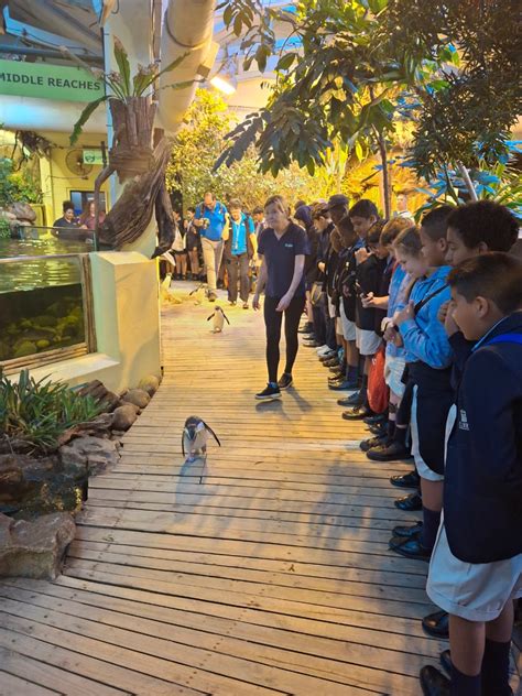 🌊🐠 Our Grade 6 Learners Had An Curro Century City Facebook