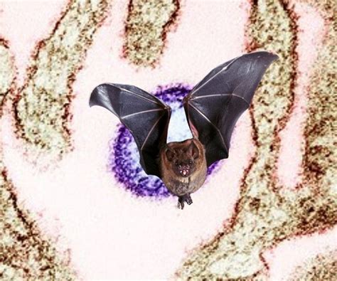 Rapper Tunde Asks Followers To Keep Him In Their Prayers As He Appears