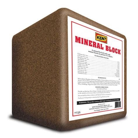 Champions Choice Selenium 90 Trace Mineral Salt Block 50lb In