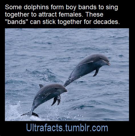 Click HERE For More Facts Ultrafacts On Tumblr