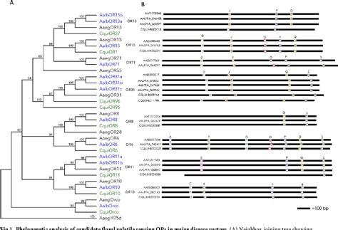 Figure 1 From Odorant Receptors For Floral And Plant Derived Volatiles In The Yellow Fever
