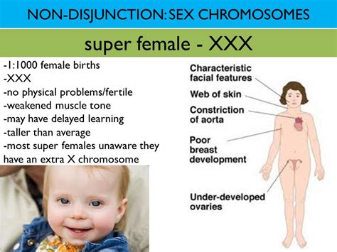 11 3 Chromosomes And Human Heredity Ppt Video Online Download