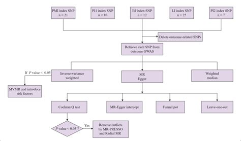 Figure A Flowchart For The Mr Analysis Of Five Types Of Meat Intake And Download Scientific