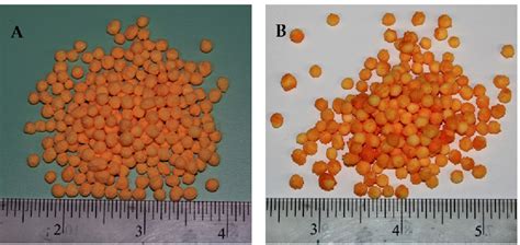 Figure 1 From Production And Characterization Of Controlled Release Urea Using Biopolymer And