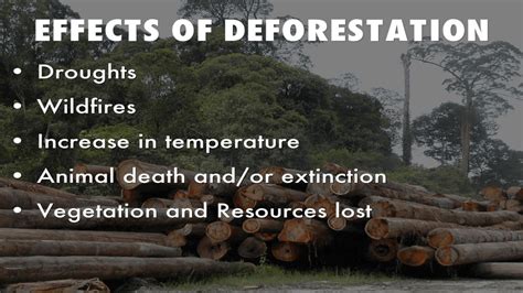 Problems Of Deforestation And Conservation Measures Gktoday