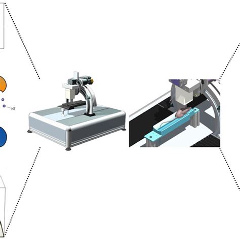 schematic illustration of a potential experiment to map neuronal