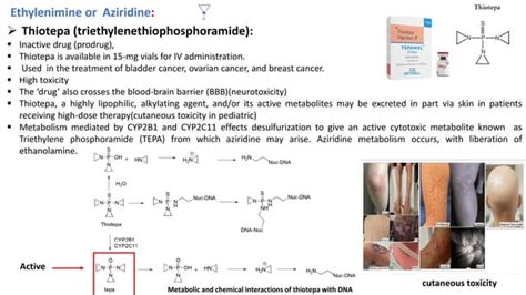 Alkylating Agents Medicinal Chemistry Pdf Cancer Diseases And
