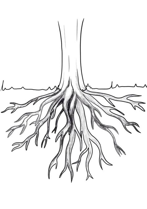 Draw Tree Roots In Easy Steps Artsydee Drawing Painting Craft Creativity
