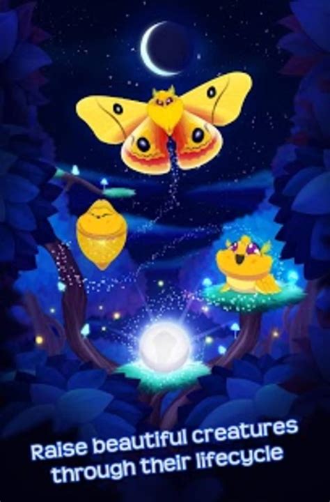 Flutter Starlight Pour Android Télécharger