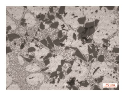 Microstructure Of Sicp A356 Composites Fabricated At A 620°c Download Scientific Diagram