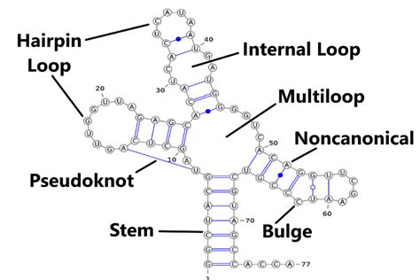 Structural Biology Ai4science101