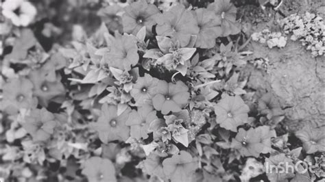 নতুন মা ছেলের গল্পনতুন চটি গল্প ২০২৪ সব ধরনের ভাই বোন পারিবারিক মা