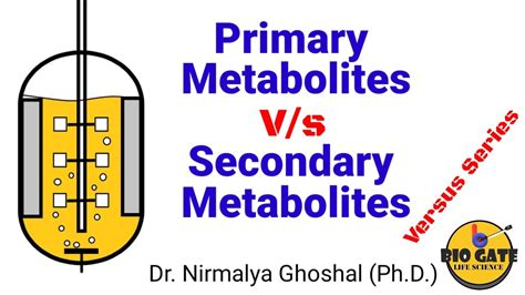 What Are Primary And Secondary Data