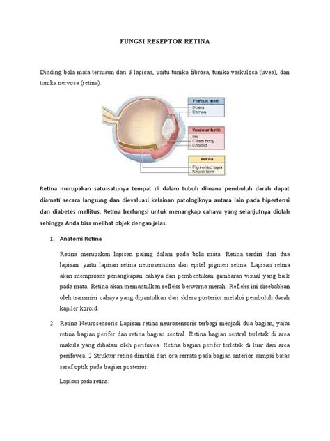 Rangkuman Fungsi Reseptor Retina Pdf Kesehatan Holistik Sains And Matematika