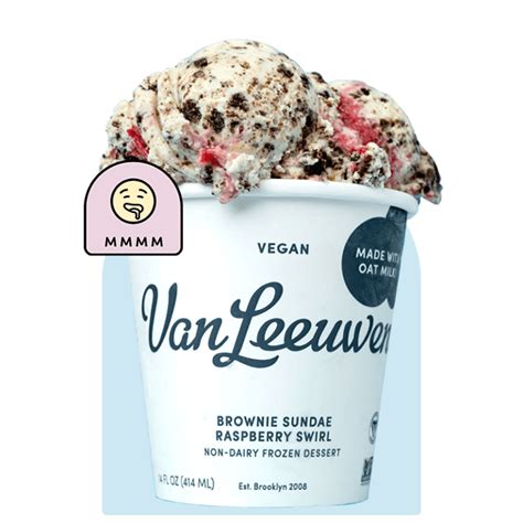 Vegan Brownie Sundae Raspberry Swirl Van Leeuwen Ice Cream