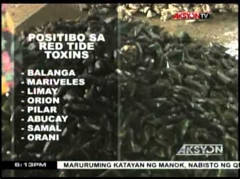 Red Tide Alert - AKSYON-11-23-2011 - YouTube
