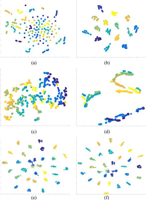 t sne embeddings better viewed in colour a c and e depict