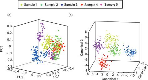 Scatter Plots Of Pca And The Dapc Scores A Top Three Pca Scores B